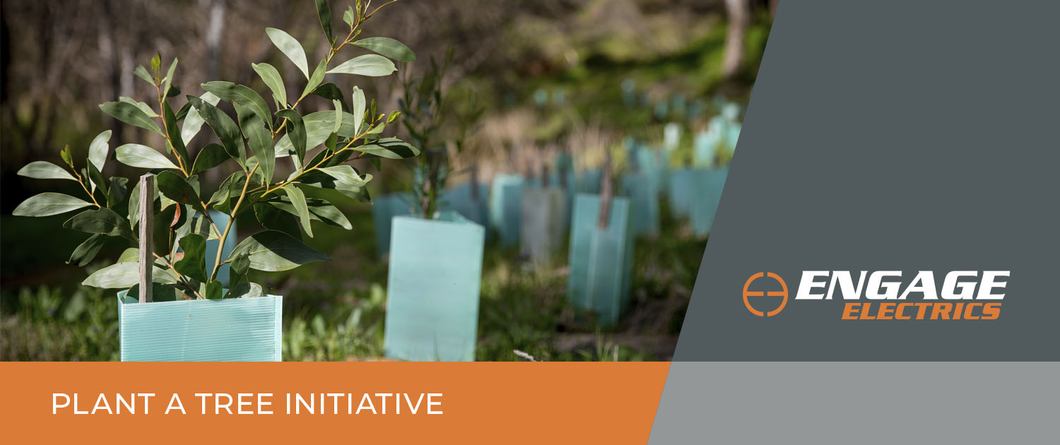 Plant A Tree T&Cs - Engage Electrics